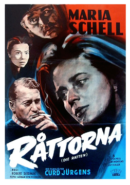 Ratten, Die | der Film Noir